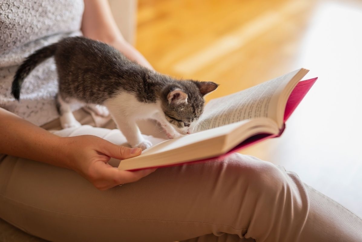 Resources | Vet Pet Telehealth