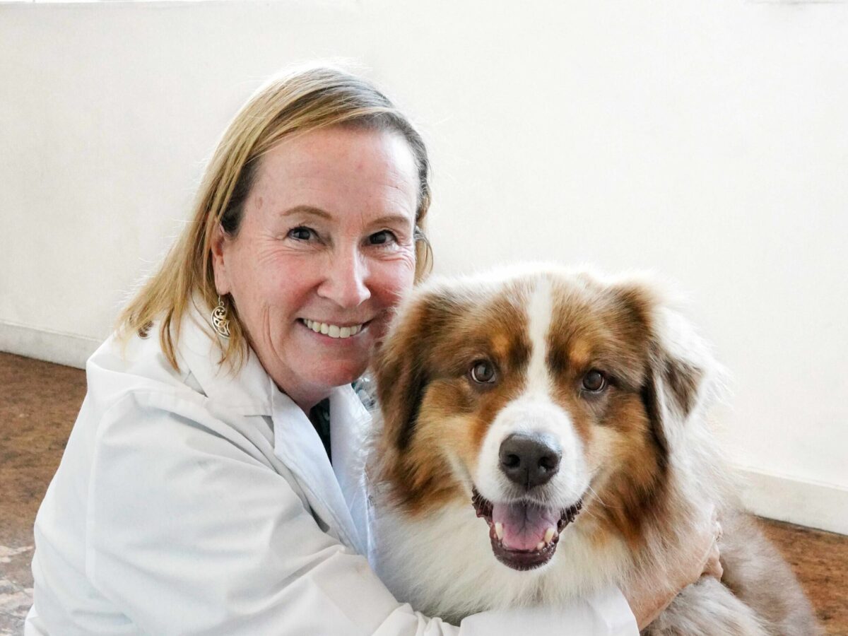 Our About Us | Vet Pet Telehealth